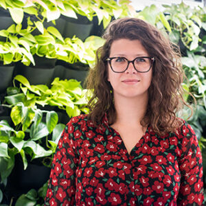 Uniwersytet Otwarty UŚ